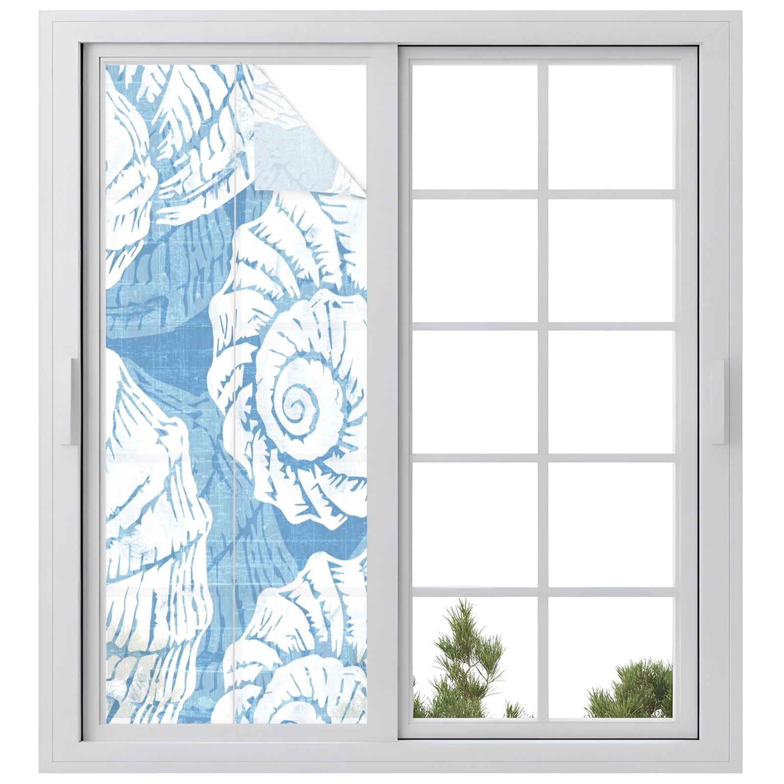 Blue Conch Window Privacy Film, Coastal Summer Ocean Beach Nautical ...