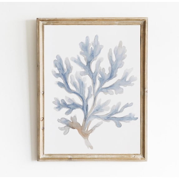 Blue Coral Minimal Coastal Nautical Beach House Wall Art Home Decor ...