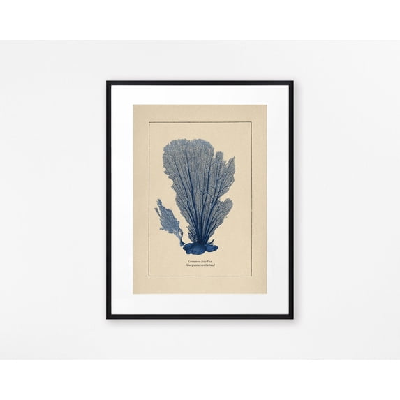 Blue Coral Sea Fan Bathroom Decor Bathroom Beach House Decor Coastal ...