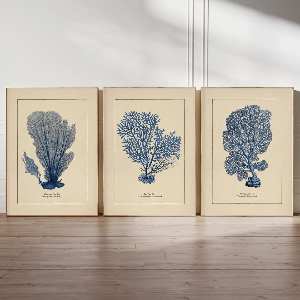 Blue Coral Sea Fan Bathroom Decor Beach House Room Design Set 3 ...