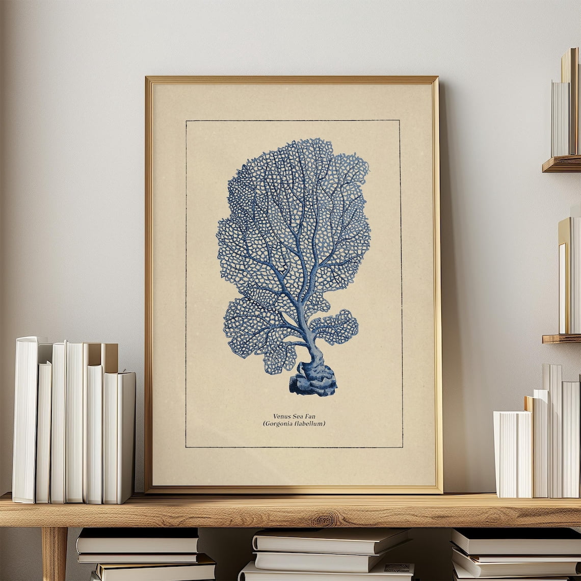 Blue Coral Sea Fan Coastal Beach House Motif Poster Unframed Paper ...