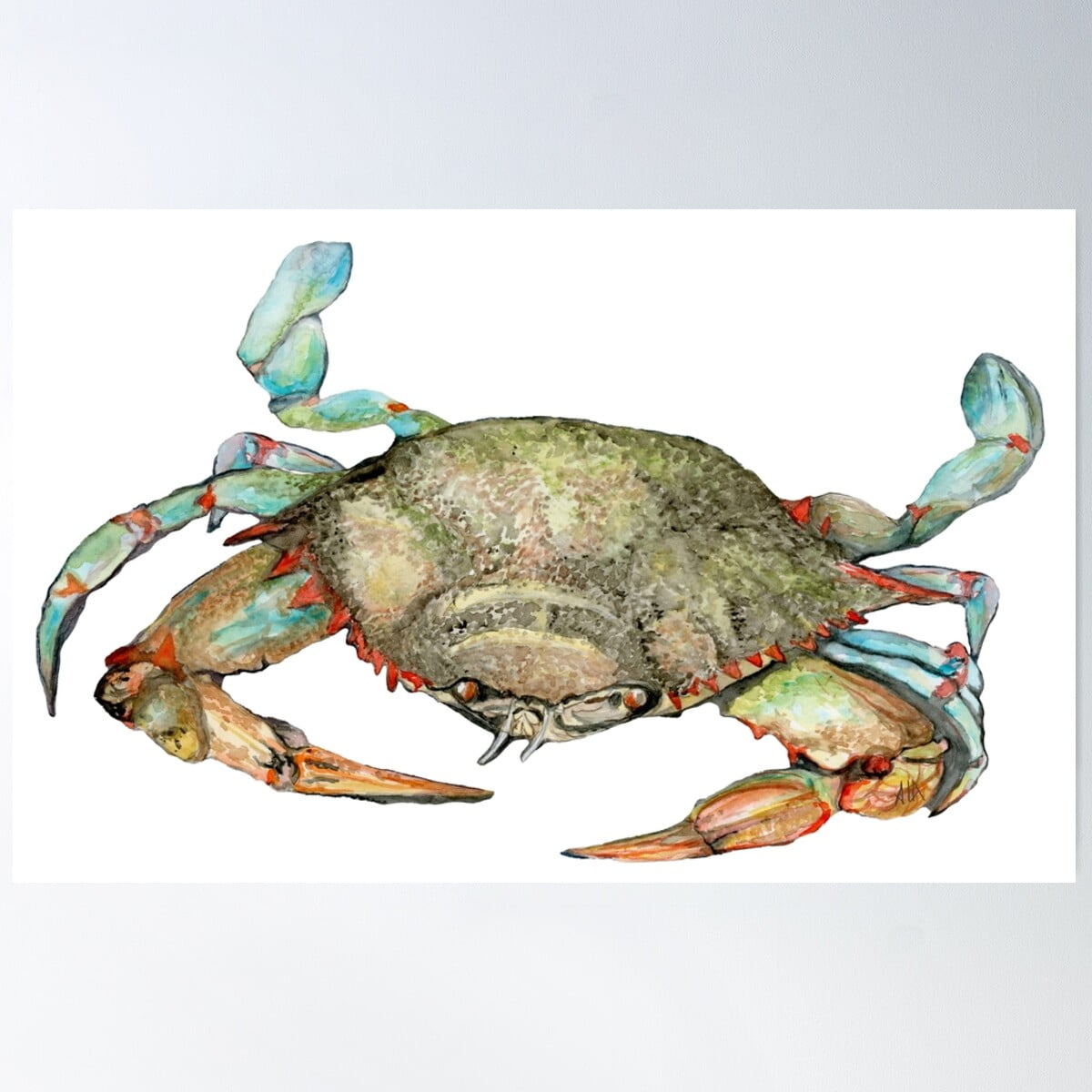 Blue Crab In The Salt Marsh Poster Wall Art, Modern Wall Decor For ...