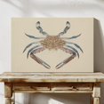 Blue Crab Ocean Animal Antique Vintage Decor Nautical Illustration Art ...