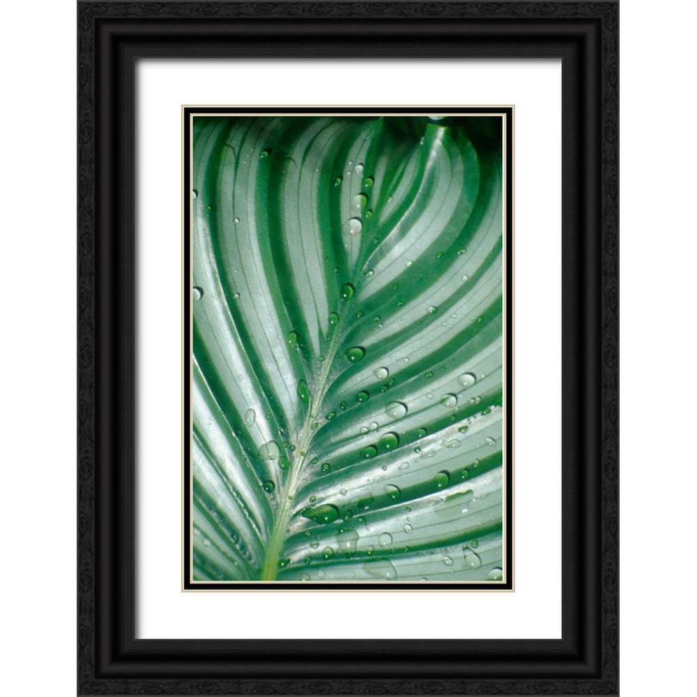 Blue, Cyril 11x14 Black Ornate Wood Framed with Double Matting Museum ...