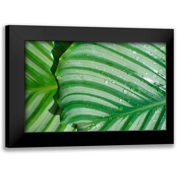 Blue, Cyril 14x10 Black Modern Framed Museum Art Print Titled ...