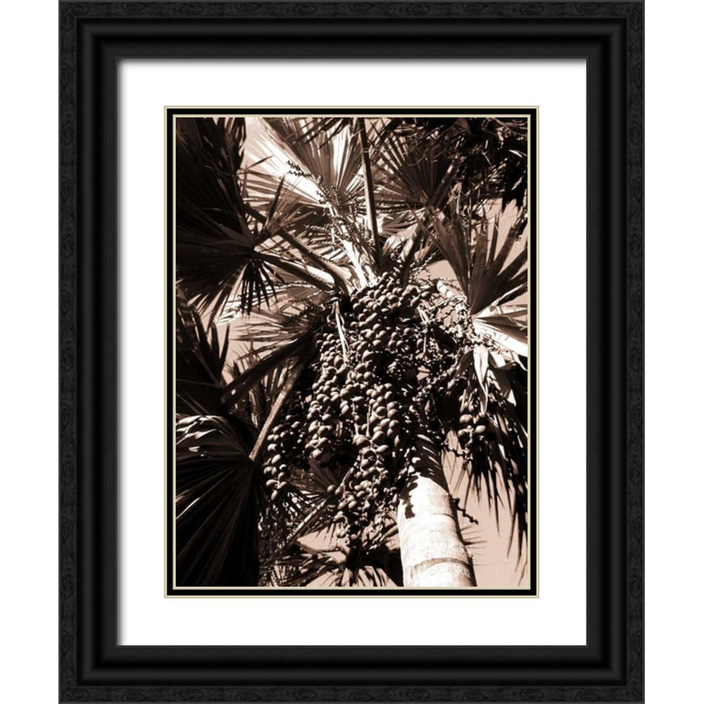 Blue, Cyril 15x18 Black Ornate Wood Framed with Double Matting Museum ...