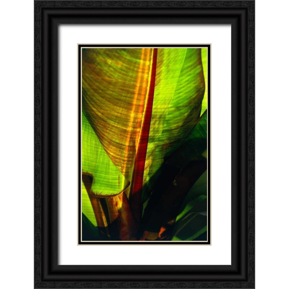 Blue, Cyril 17x24 Black Ornate Wood Framed with Double Matting Museum ...