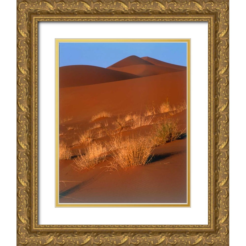 Blue, Cyril 20x24 Gold Ornate Wood Framed with Double Matting Museum ...