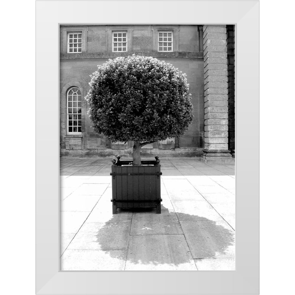 Blue, Cyril 24x32 White Modern Wood Framed Museum Art Print Titled ...