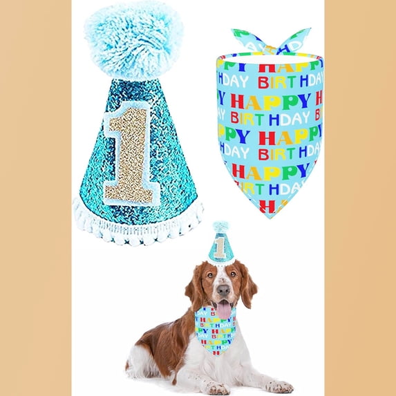 Blue Dog Party Hat and Bandana Set for Puppies Cats, Birthday Gift Cone ...