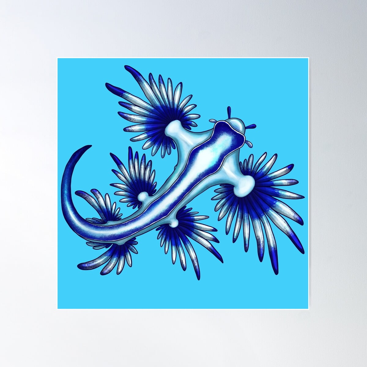 Blue Dragon Sea Slug Poster Wall Art, Modern Wall Decor For Living Room ...