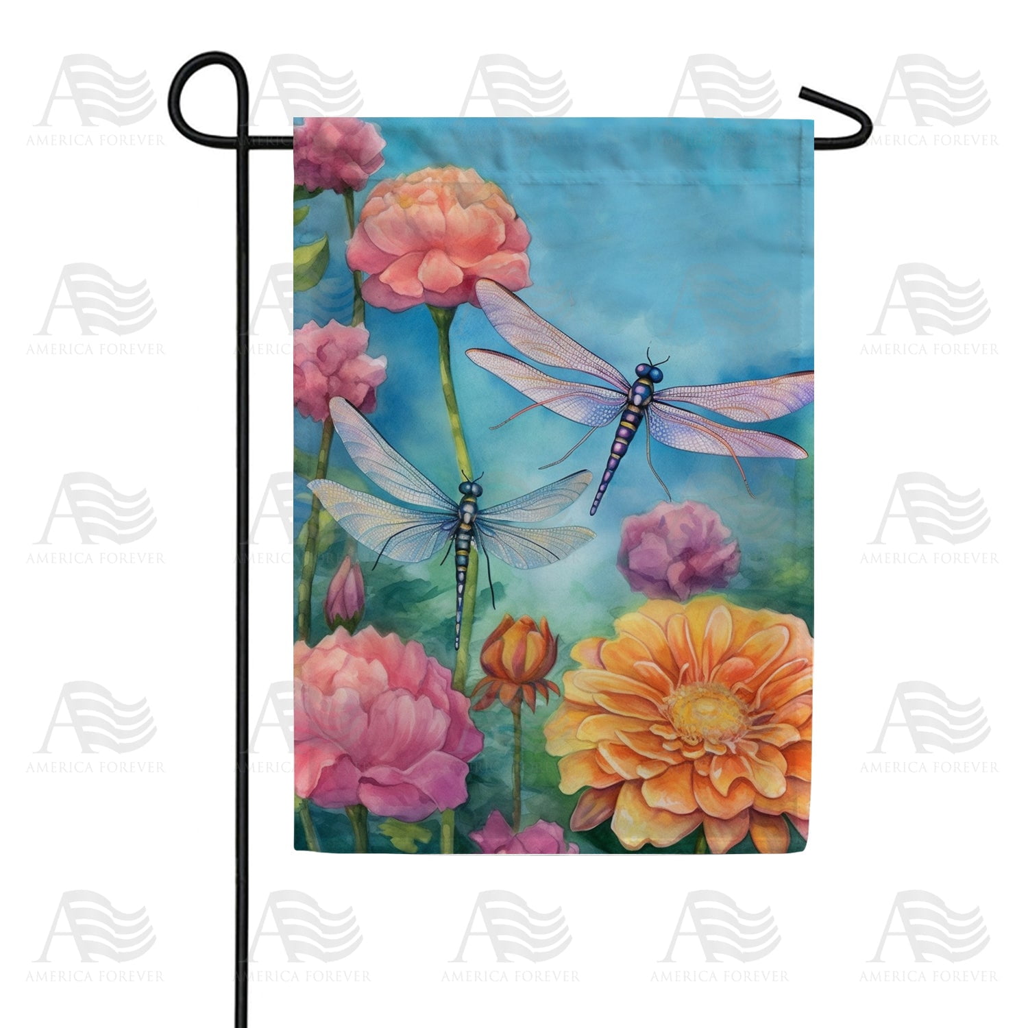 Blue Dragonflies Elegant Aquatic Winged Insect Nature Outdoor Display ...