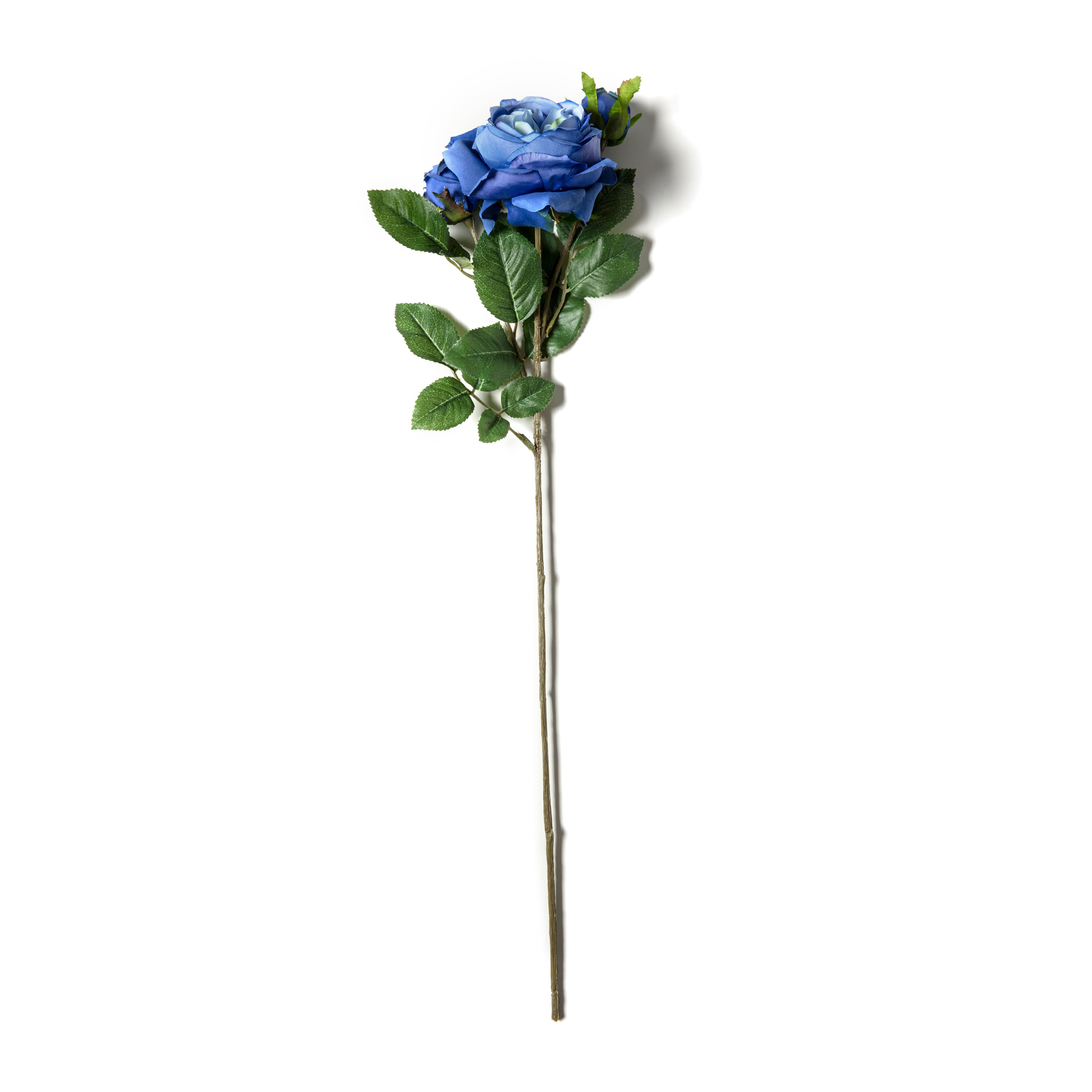 Blue English Rose Stem by Ashland® - Walmart.com