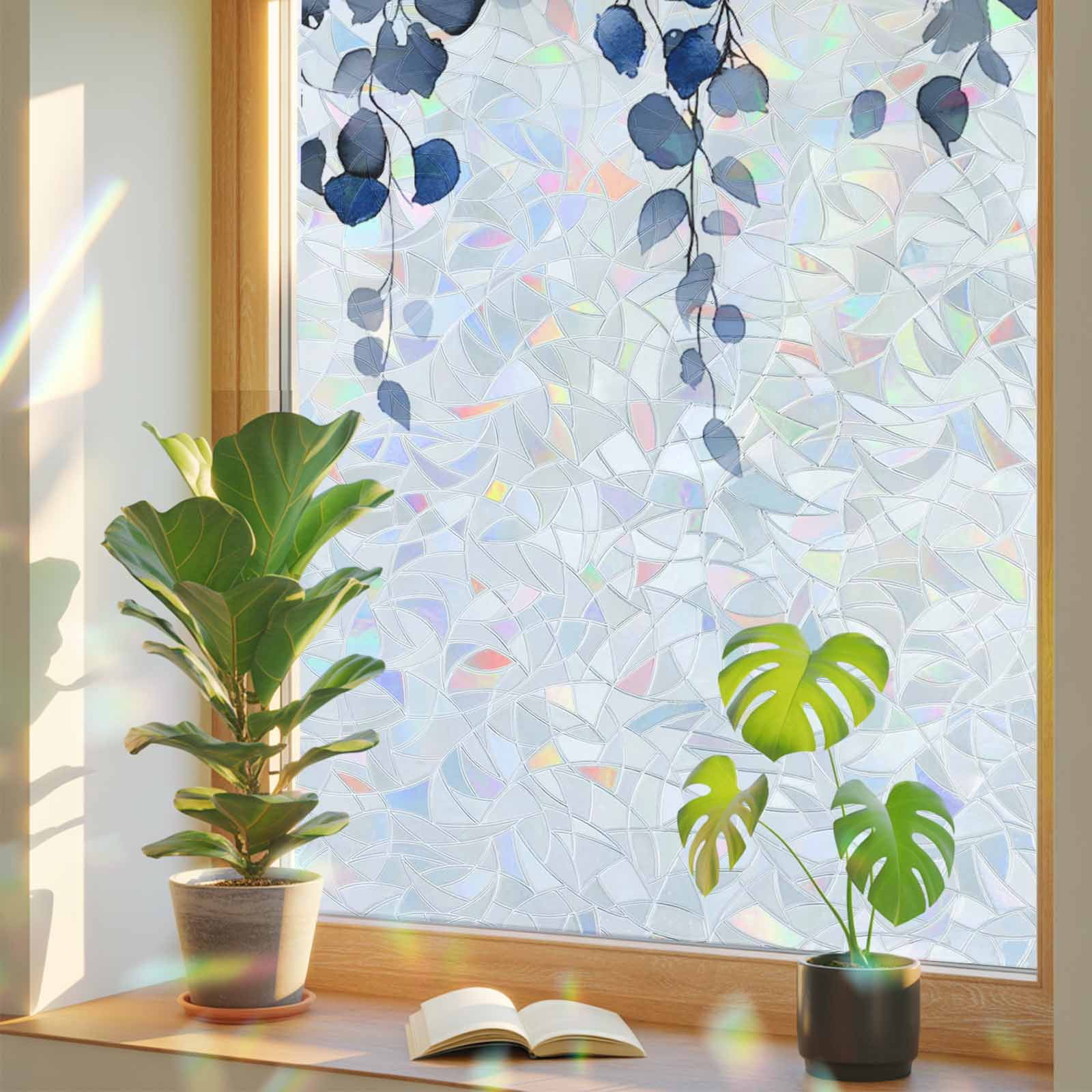 Blue Eucalyptus Leaf on White Window Privacy Film, Rainbow Film ...