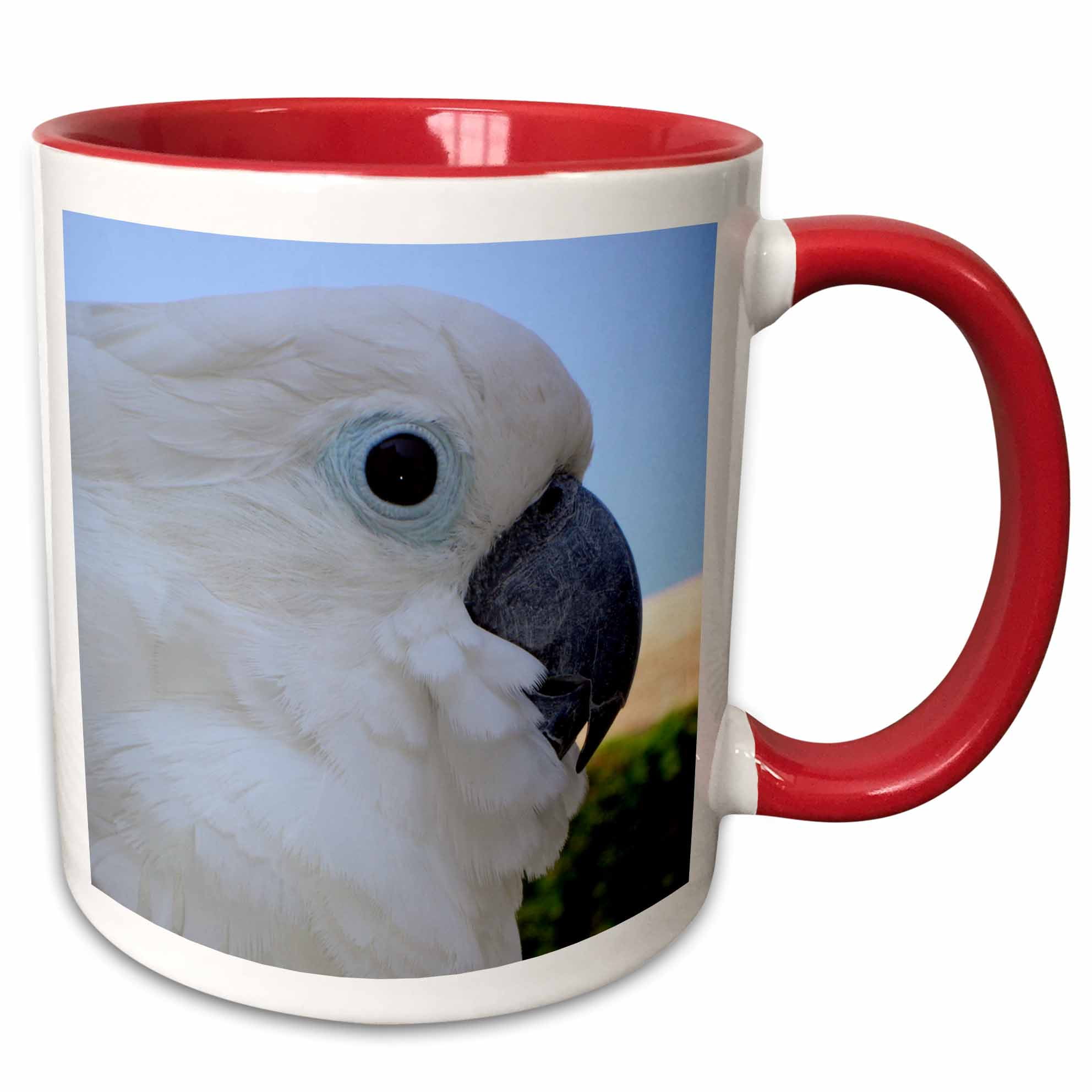 3drose, Blue Eyed Cockatoo - Bird, Blue Eyed Cockatoo, Blue Eyes ...