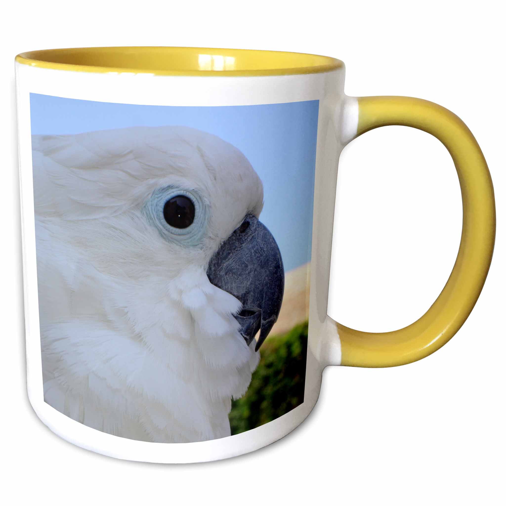 3drose, Blue Eyed Cockatoo - Bird, Blue Eyed Cockatoo, Blue Eyes ...