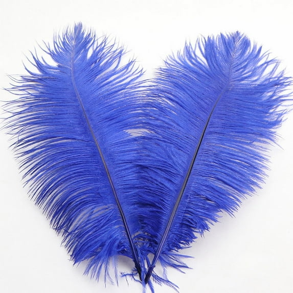Blue Feathers,Natural Feather Bulk,Craft Decoration Wedding Feather ...