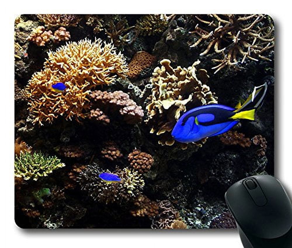 Blue Fish Coral Reef kin Sea Mouse pads Gaming Mouse Pad 9.84x7.87 ...