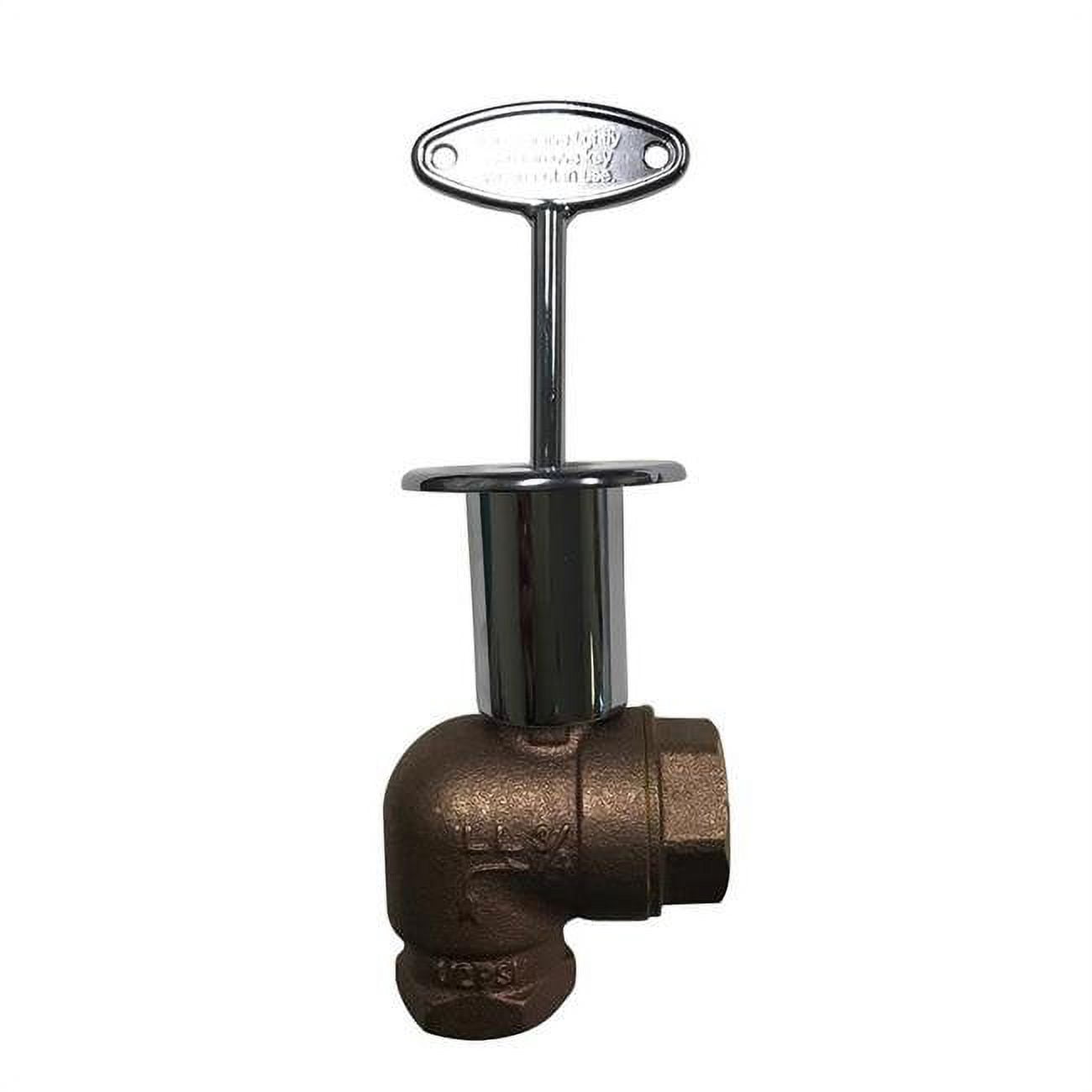 Blue Flame BVL3LCP 0.75 in. Fireplace & Fire Pit Quarter Turn Valve Kit ...