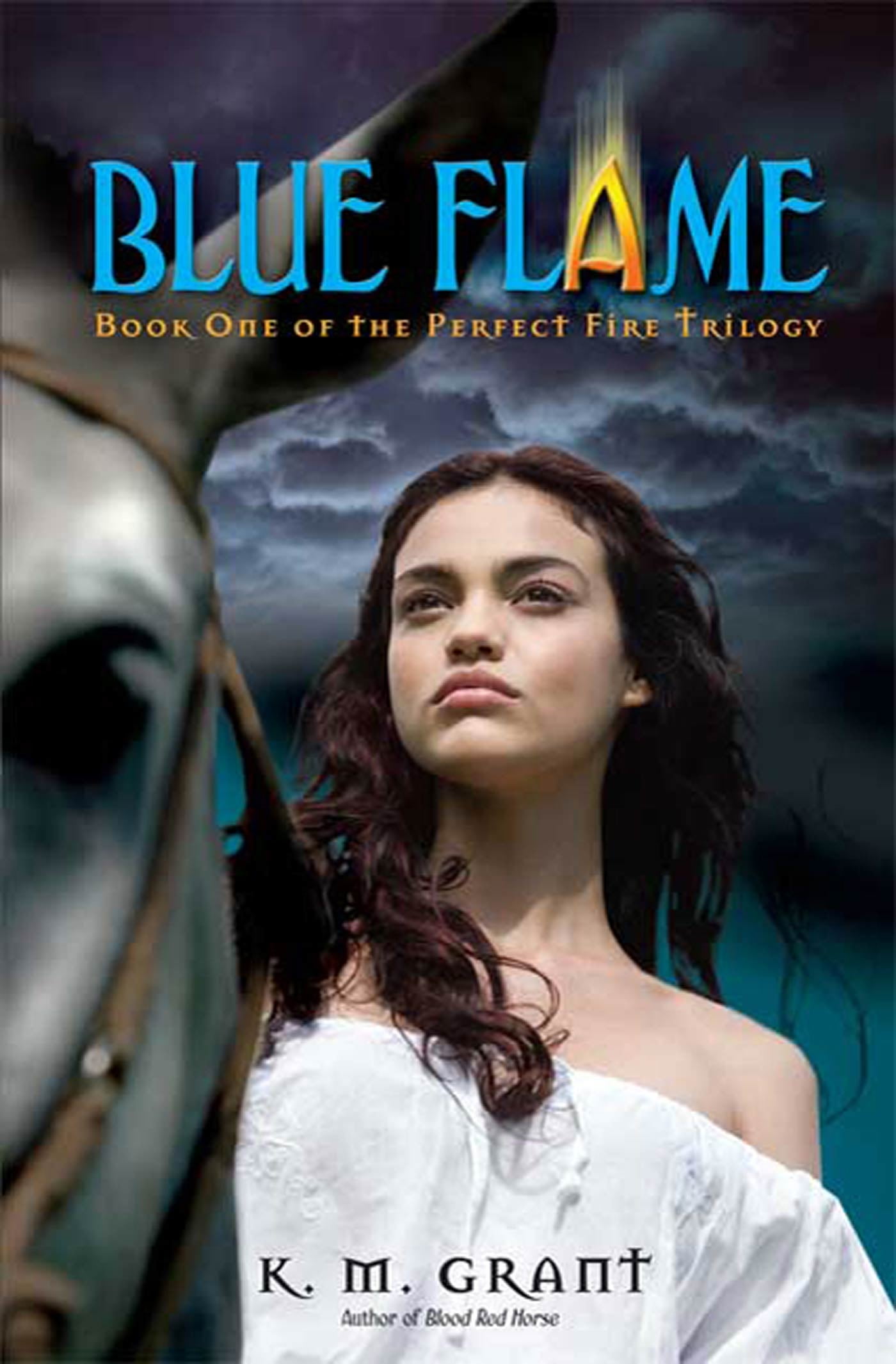 Blue Flame : Book One of the Perfect Fire Trilogy - Walmart.com
