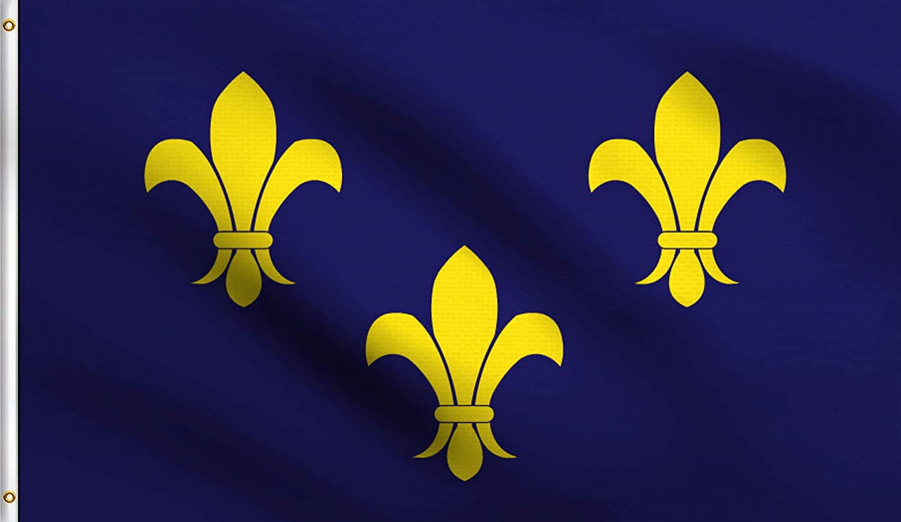 Blue Fleur De Lis Few French France Royal Flag 100% Polyester - Walmart.com