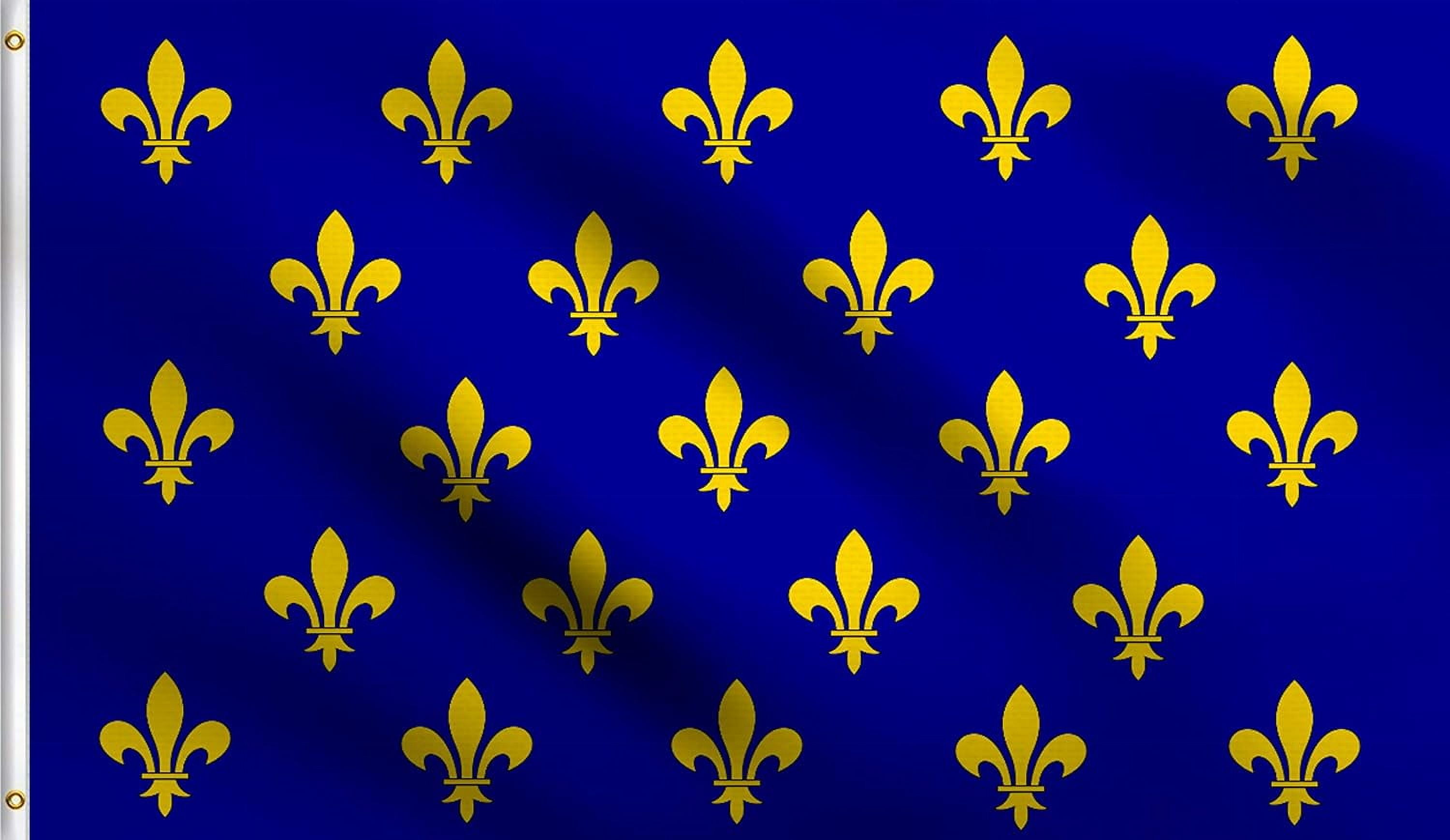 Blue Fleur De Lis Many France Royal Muti Flag, 3Ply Polyester Heavy ...