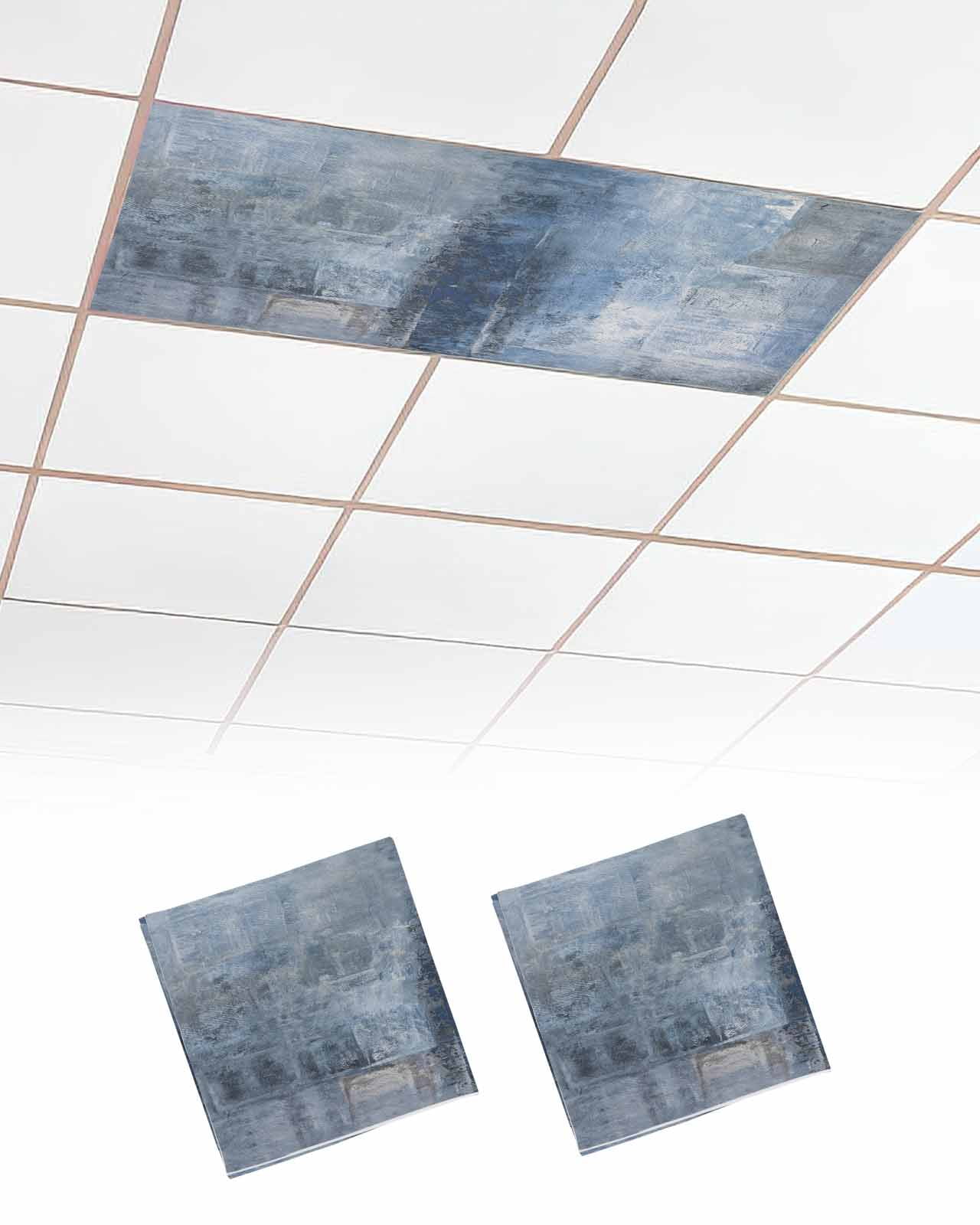 Blue Fluorescent Light Covers for Ceiling Lights 4x2 feet,2 Pack ...