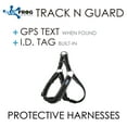Blue Frog 1X Track N Guard GPS Message Ready & Built-In I.D. Tag Dog ...