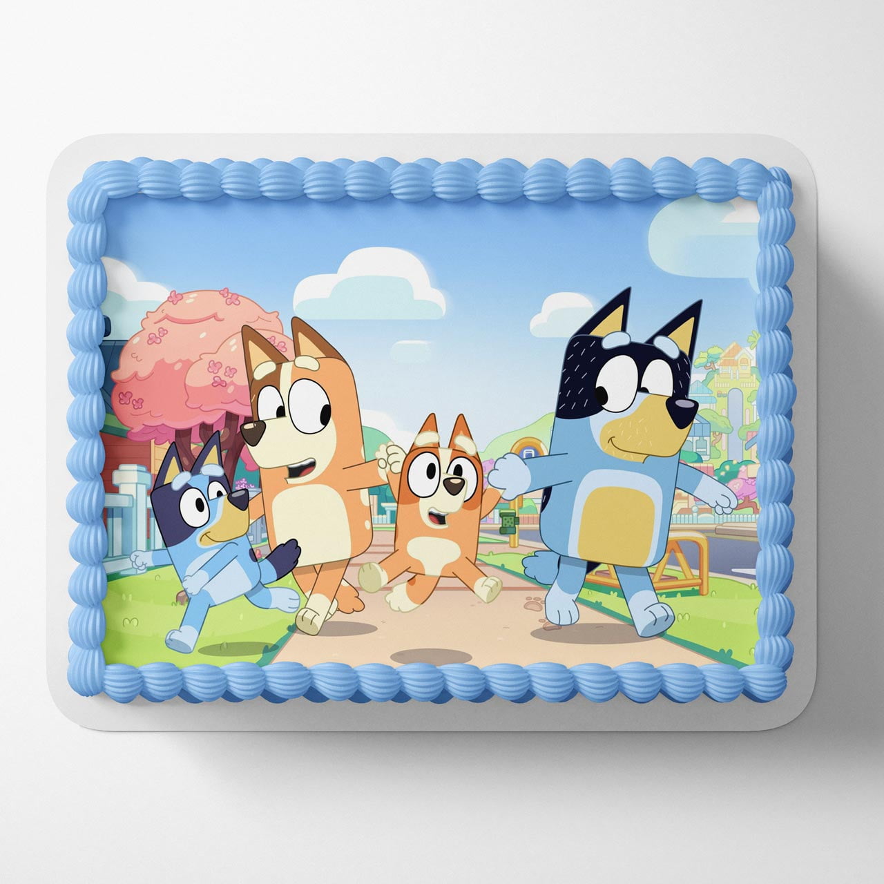 Blue Fun Kids Family BCF Edible Cake Image Topper 1/4 Sheet (8.5 x 11 ...