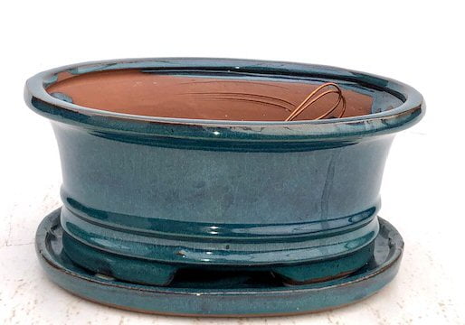 Blue / Green Ceramic Bonsai Flower Pot - Oval Professional Series with ...