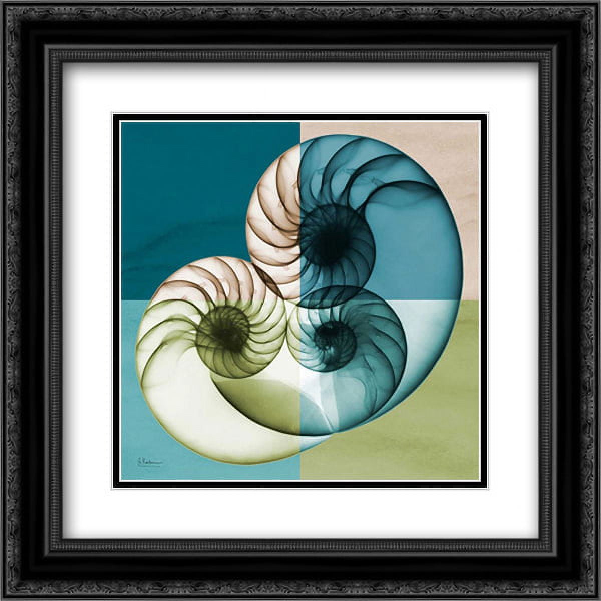 Blue Green Shell 2 2x Matted 20x20 Black Ornate Framed Art Print by ...