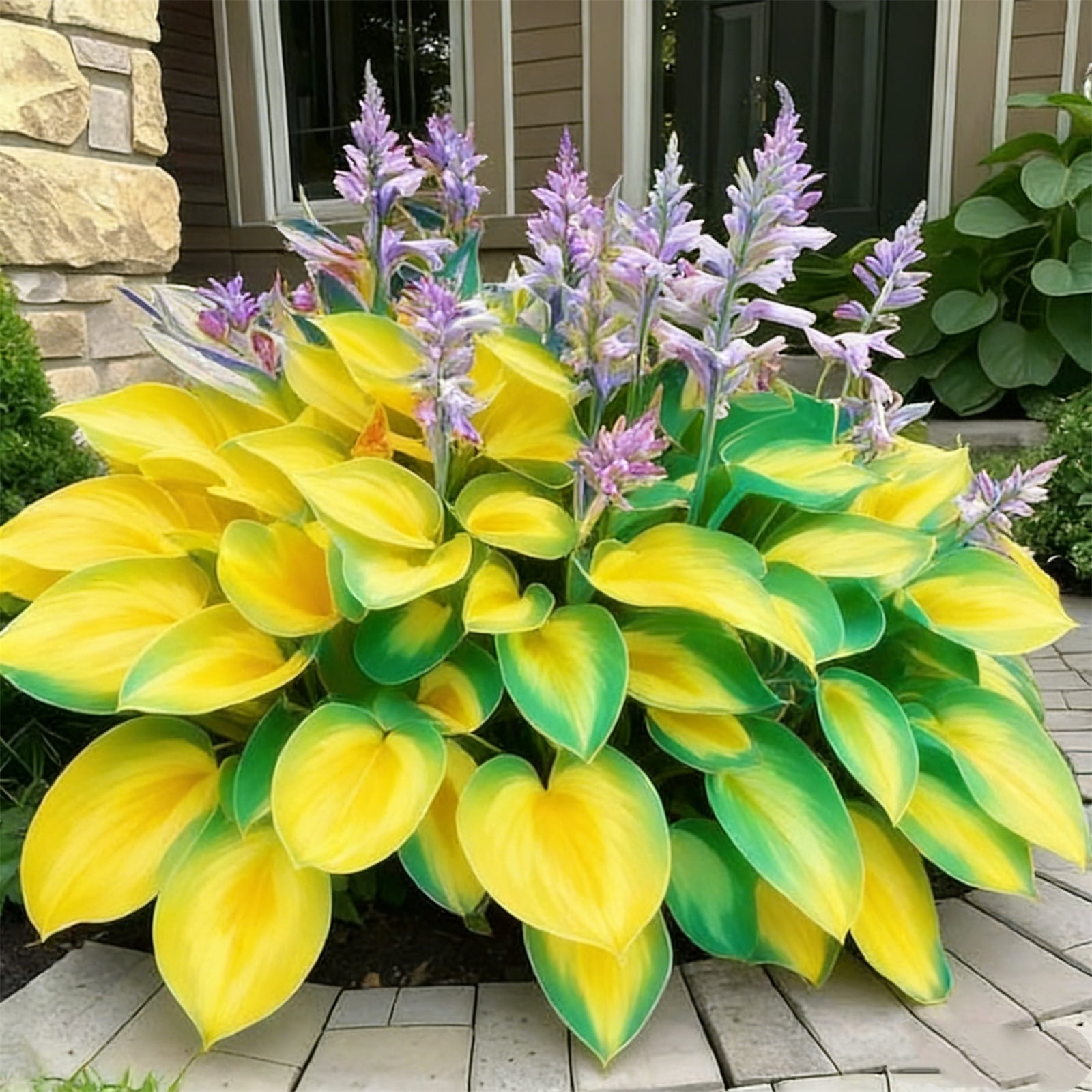 Blue Heart-Bulbs For Planting - Premium Garden Stakes Perfect For Yard ...