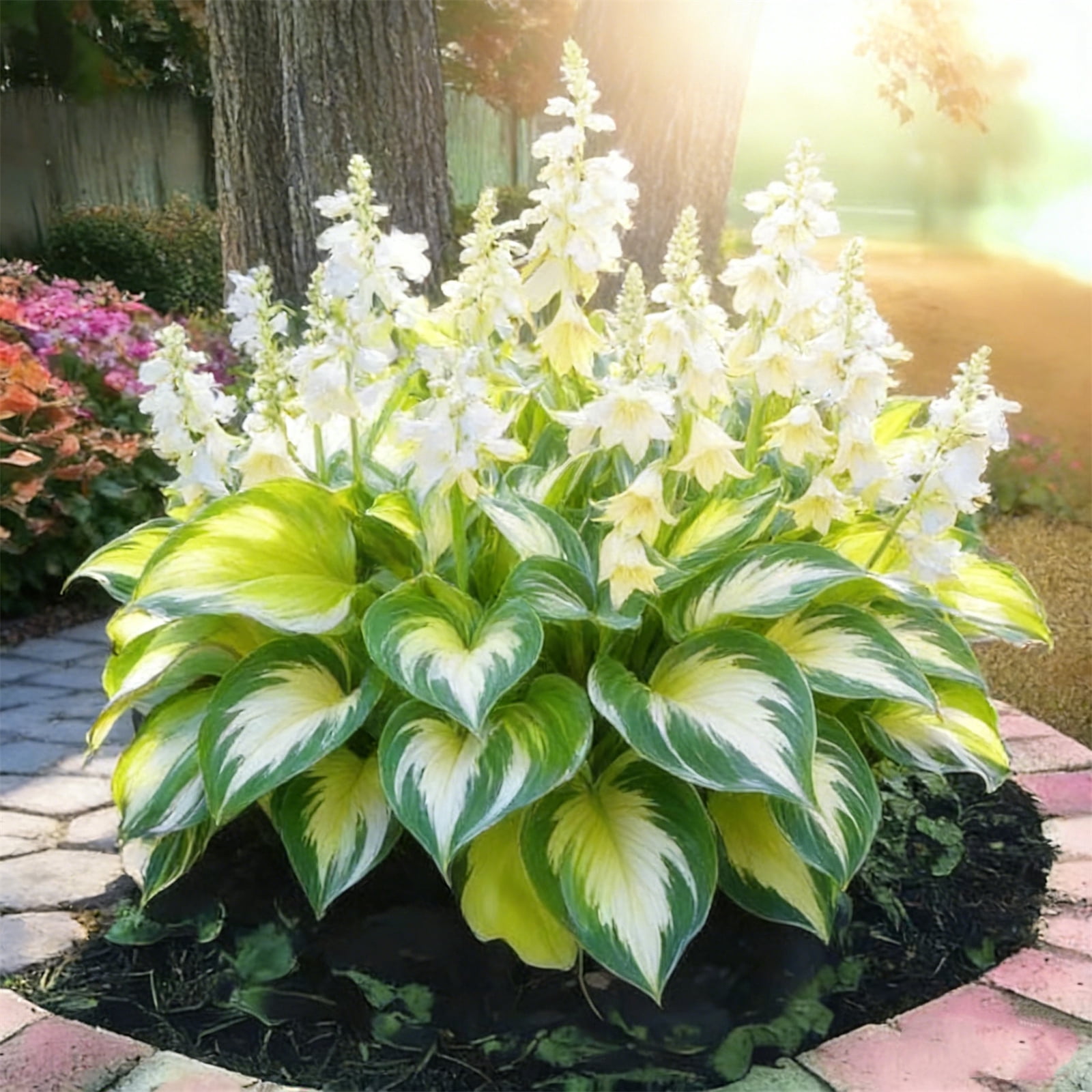 Blue Heart-Bulbs For Planting - Premium Garden Stakes Perfect For Yard ...