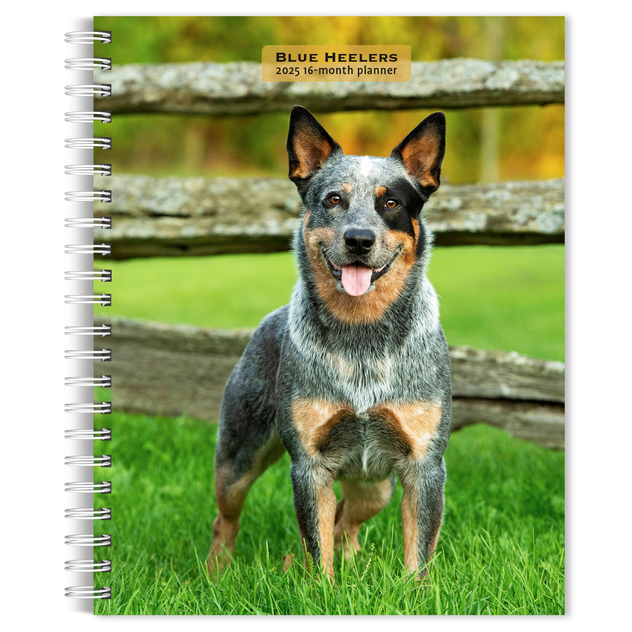 Blue Heelers | 2025 6x7.75" Spiral-Bound Engagement Planner Calendar ...