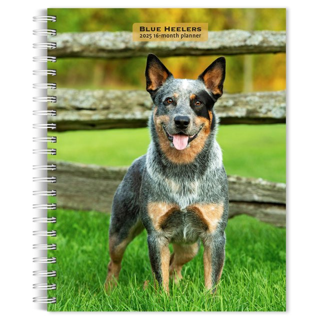 Blue Heelers | 2025 6x7.75" Spiral-Bound Engagement Planner Calendar ...