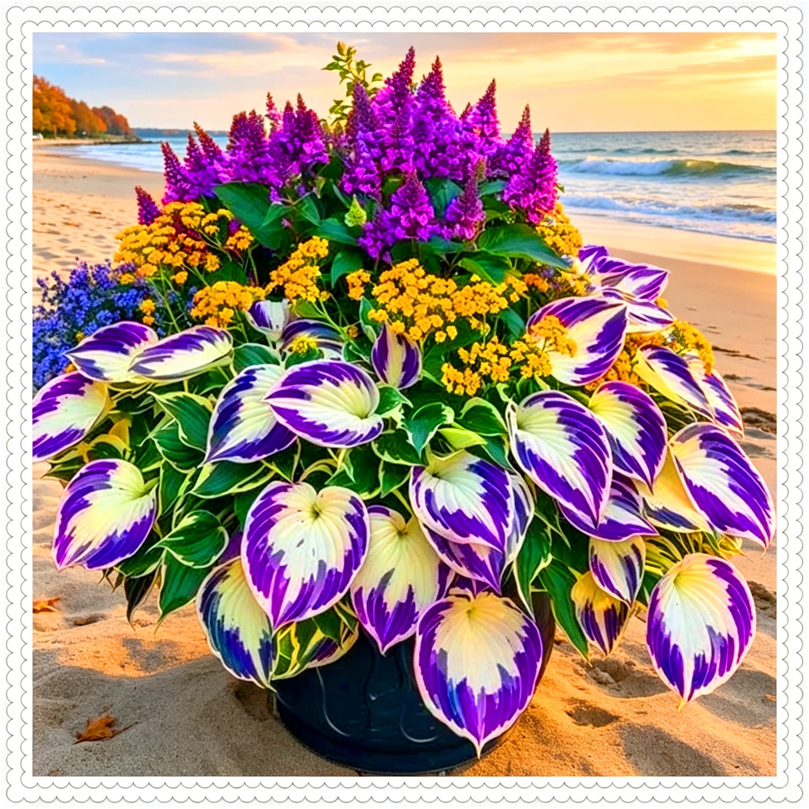 Blue Hostas for Planting (Non-Artificial), Rare & Beautiful, Beginner ...