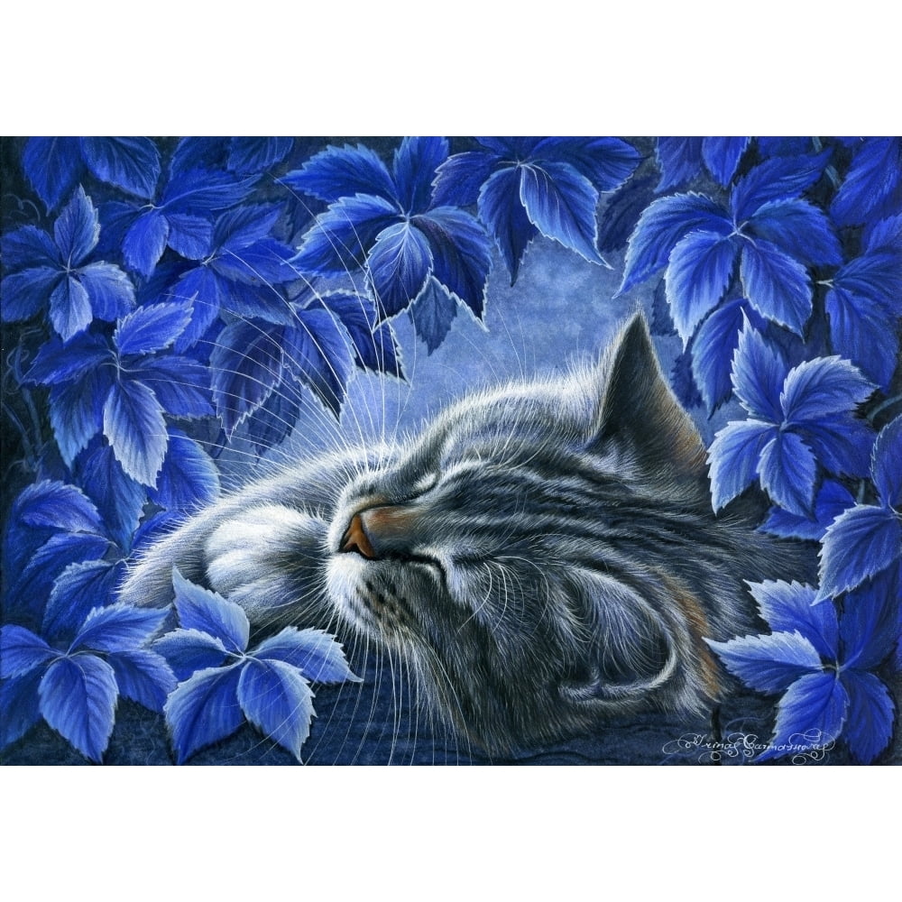 Blue Hour Poster Print by Irina Garmaschova-Cawton - Walmart.com