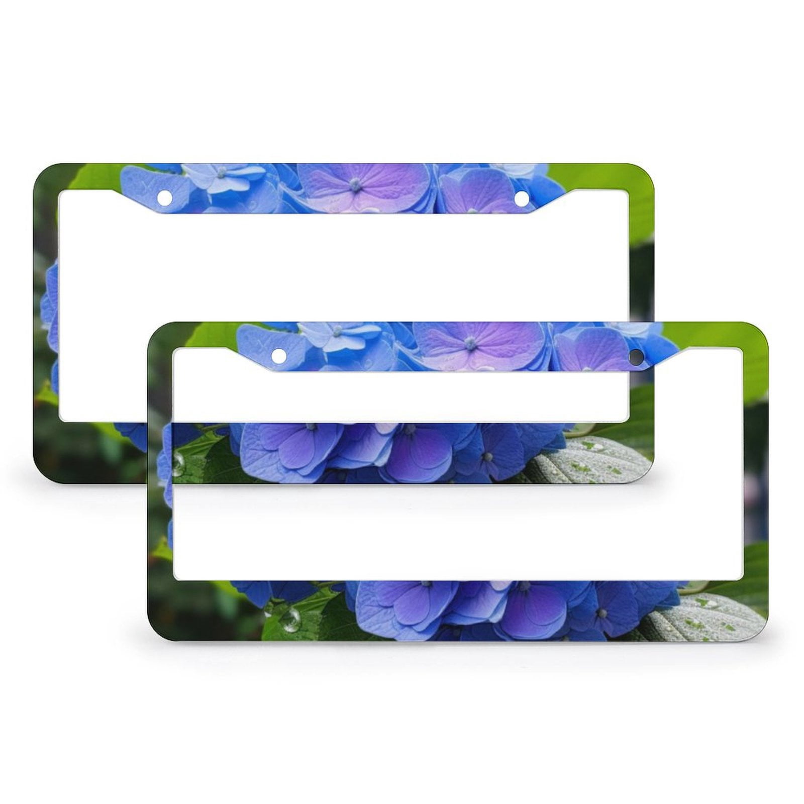 Blue Hydrangea Flower License Plate Frames 2 Pack Delicate Hydrangea ...