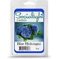Blue Hydrangea Scented Wax Cubes/Melts - Walmart.com