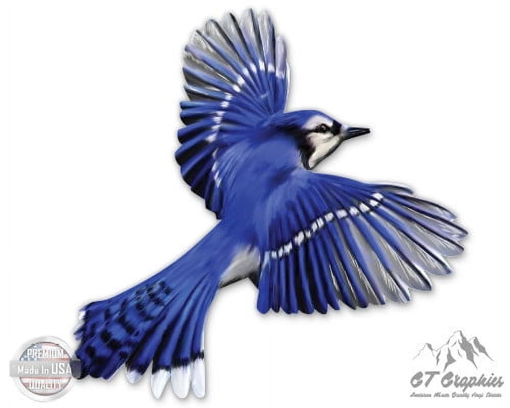 Blue Jay Beautiful Colorful Bird - 5" Vinyl Sticker - For Car Laptop I ...