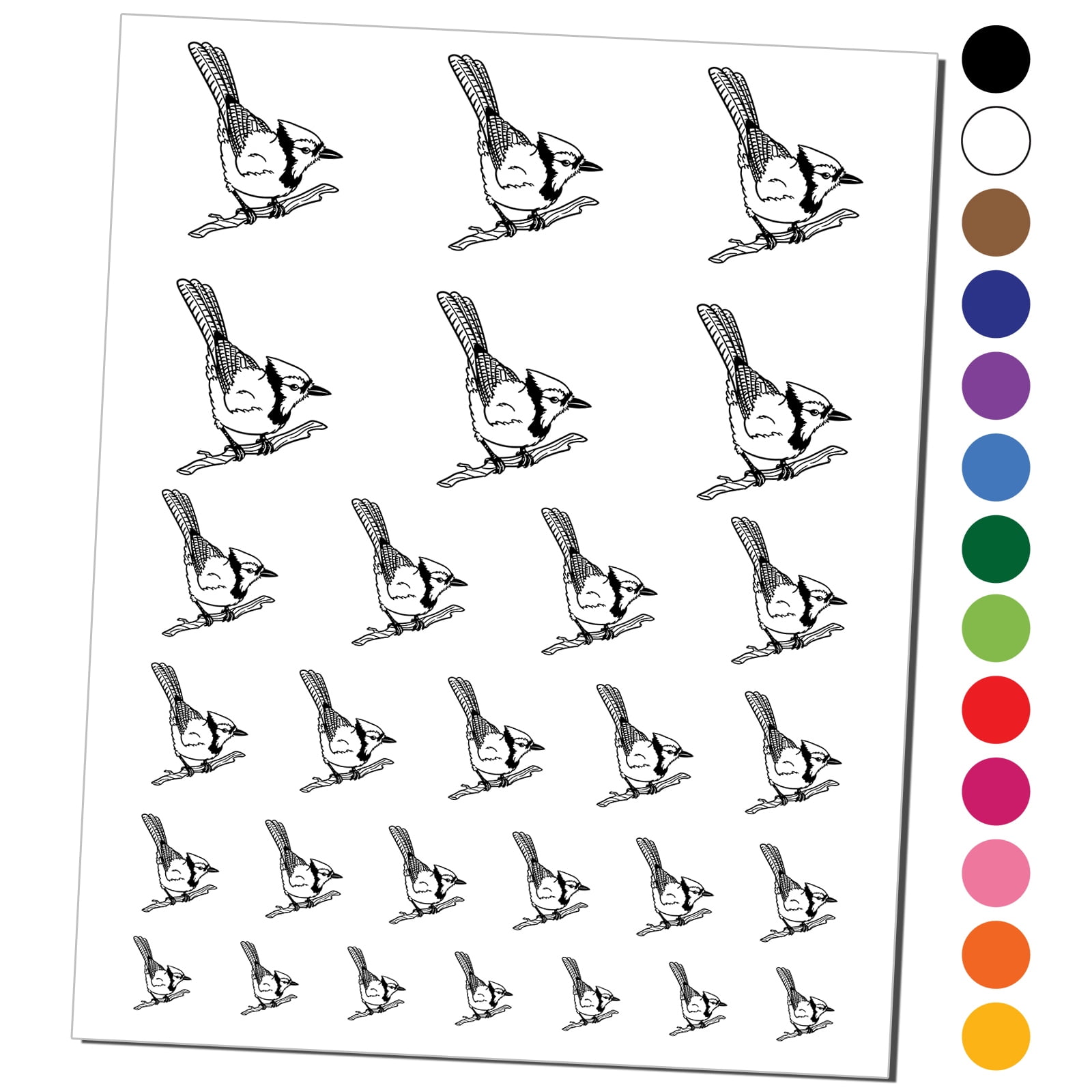 Blue Jay Bird on Branch Water Resistant Temporary Tattoo Set Fake Body ...