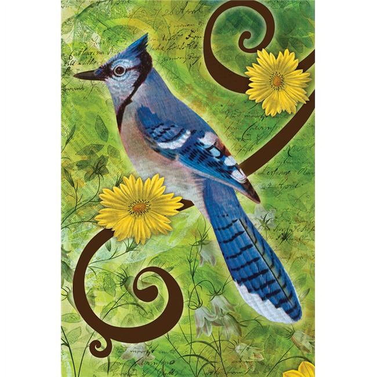 Blue Jay House Flag - Blue Jay - 28 x 40 in. - Walmart.com