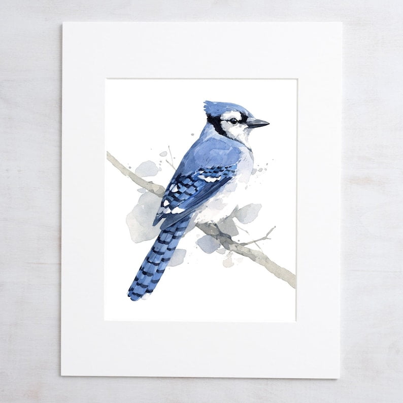 Blue Jay Watercolor Painting: Fine Art Bird Print 12x18 UNFRAMED ...