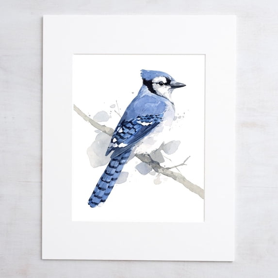 Blue Jay Watercolor Painting: Fine Art Bird Print 24x36 UNFRAMED ...