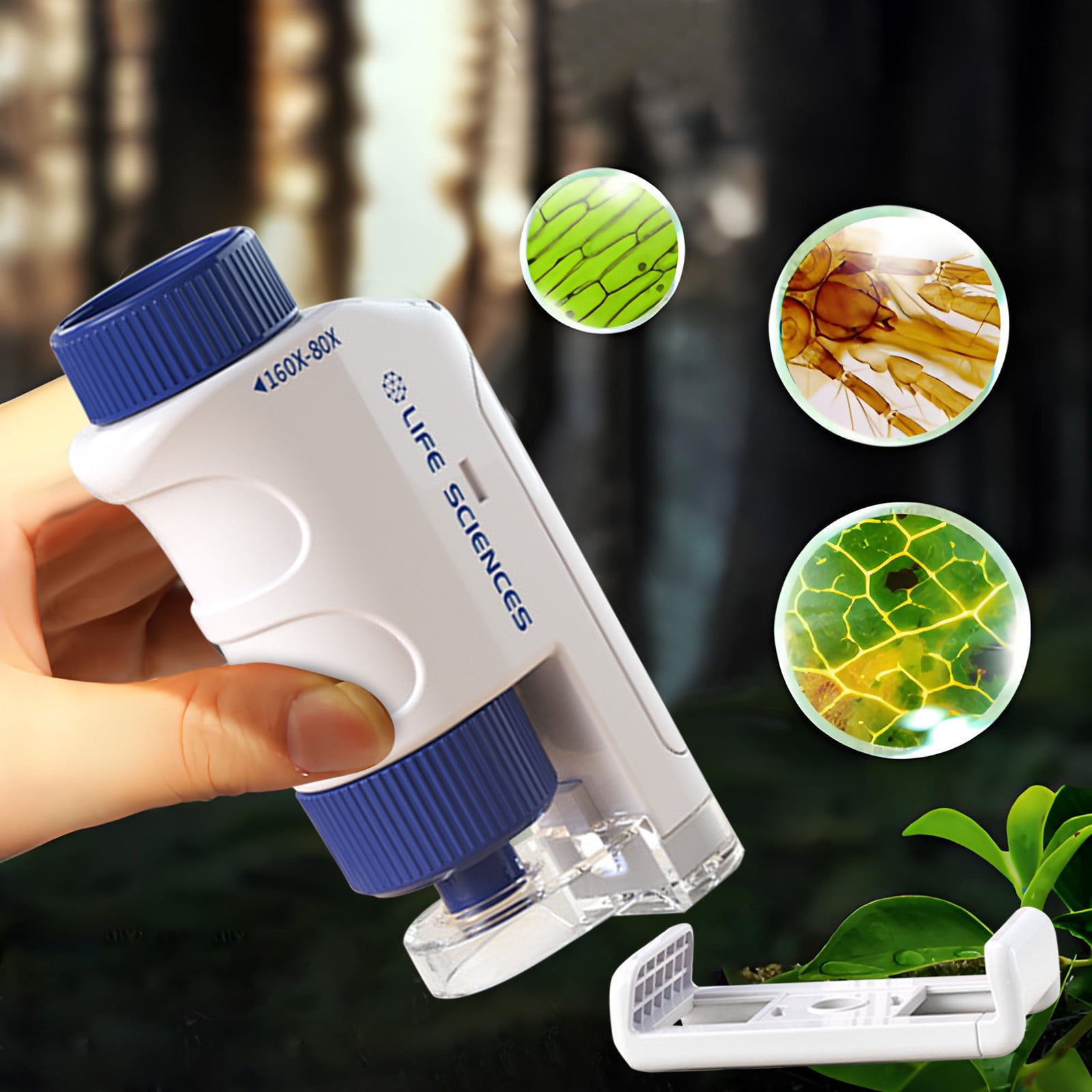 Blue Kids Microscope Handheld Portable 80X-160X Magnification Pocket ...