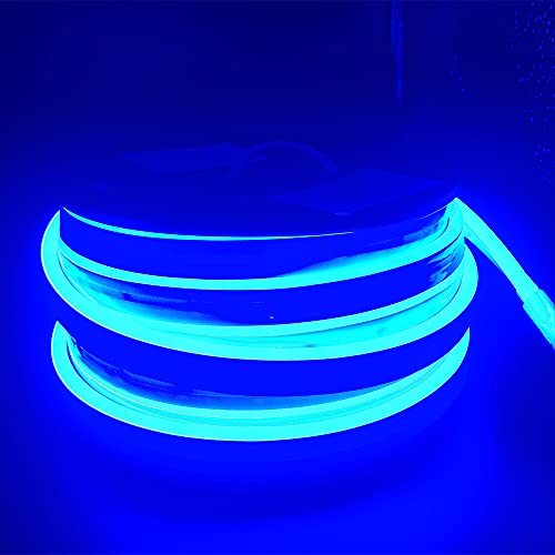 Blue LED Neon Flex Lights - 50ft Waterproof Silicone Strip for DIY ...