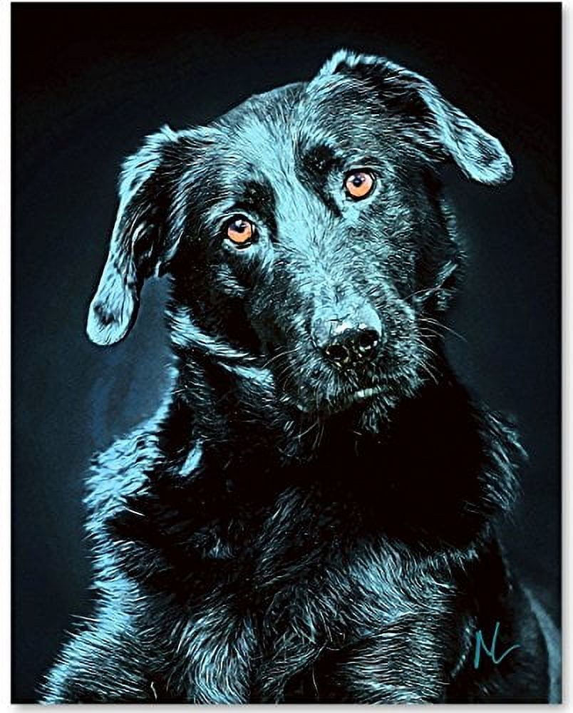 Blue Labrador Puppies