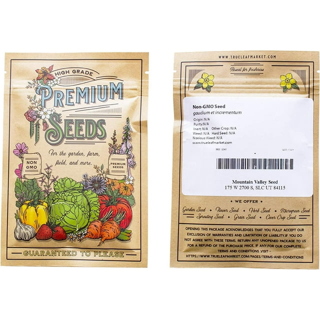 Blue Lake Bush Bean 274 Seeds - 18 Gram Packet - Non-GMO, Heirloom ...