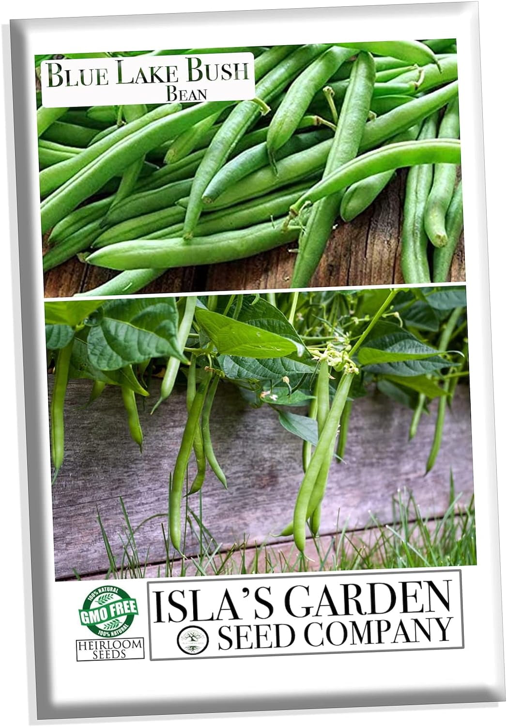 Blue Lake Bush Green Bean Seeds, 50+ Heirloom Seeds Per Packet, Non GMO ...