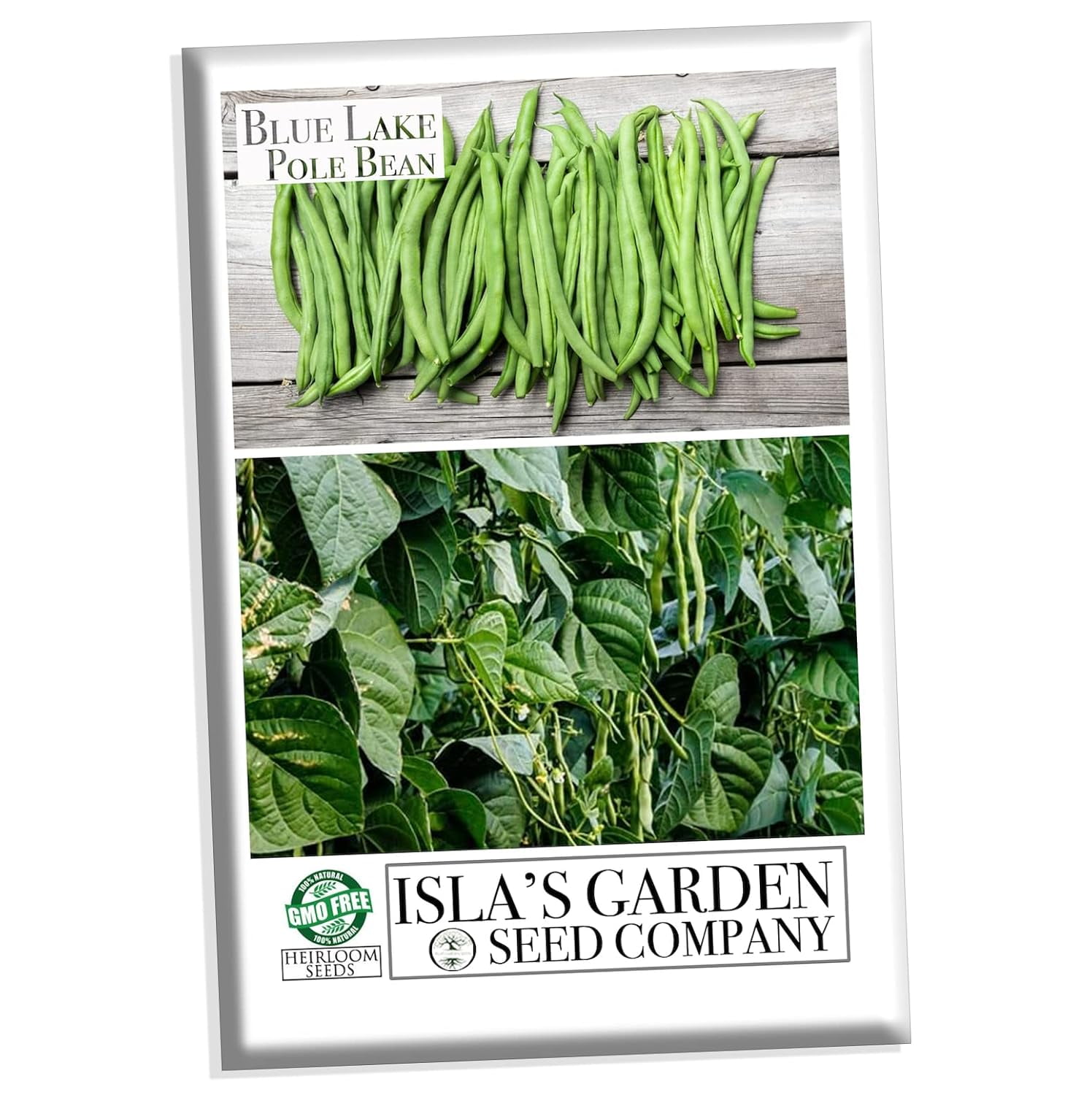 Blue Lake Pole Bean Seeds for Planting, 50+ Heirloom Green Bean Seeds ...